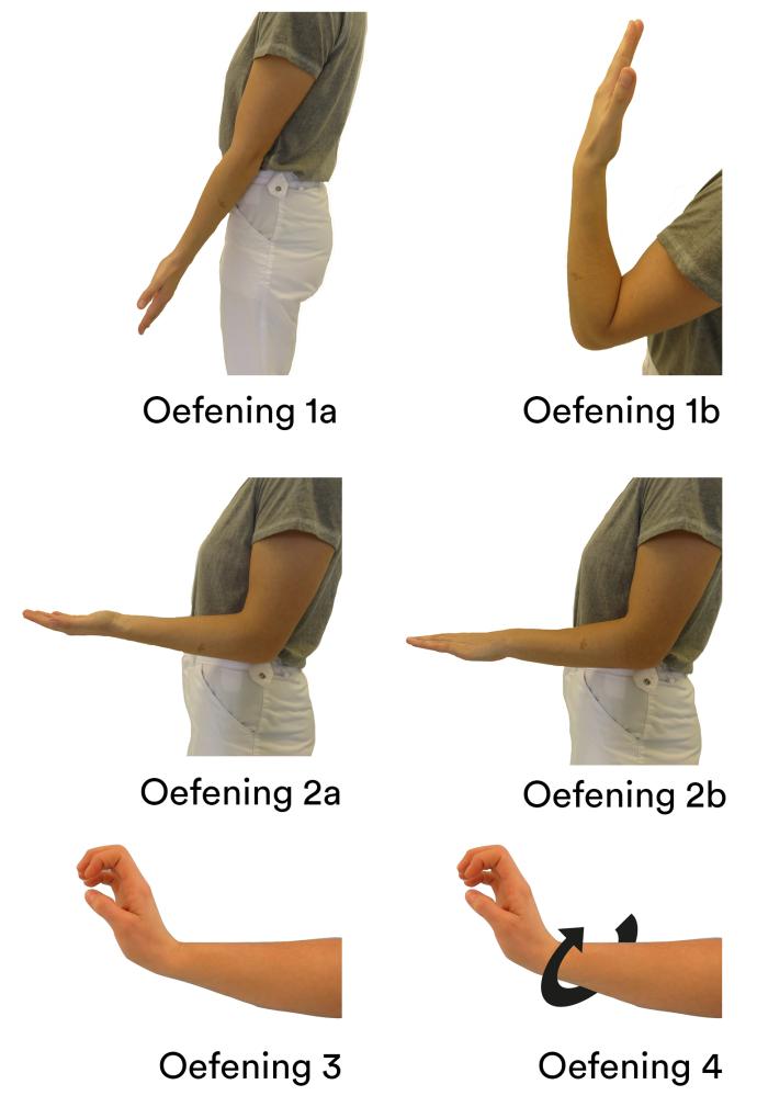 Oefeningen voor de elleboog na een gebroken elleboog | Jeroen Bosch ...