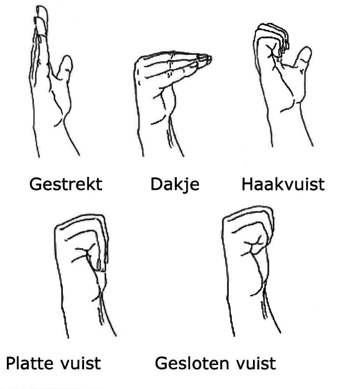 Oefeningen na een handoperatie | Jeroen Bosch Ziekenhuis